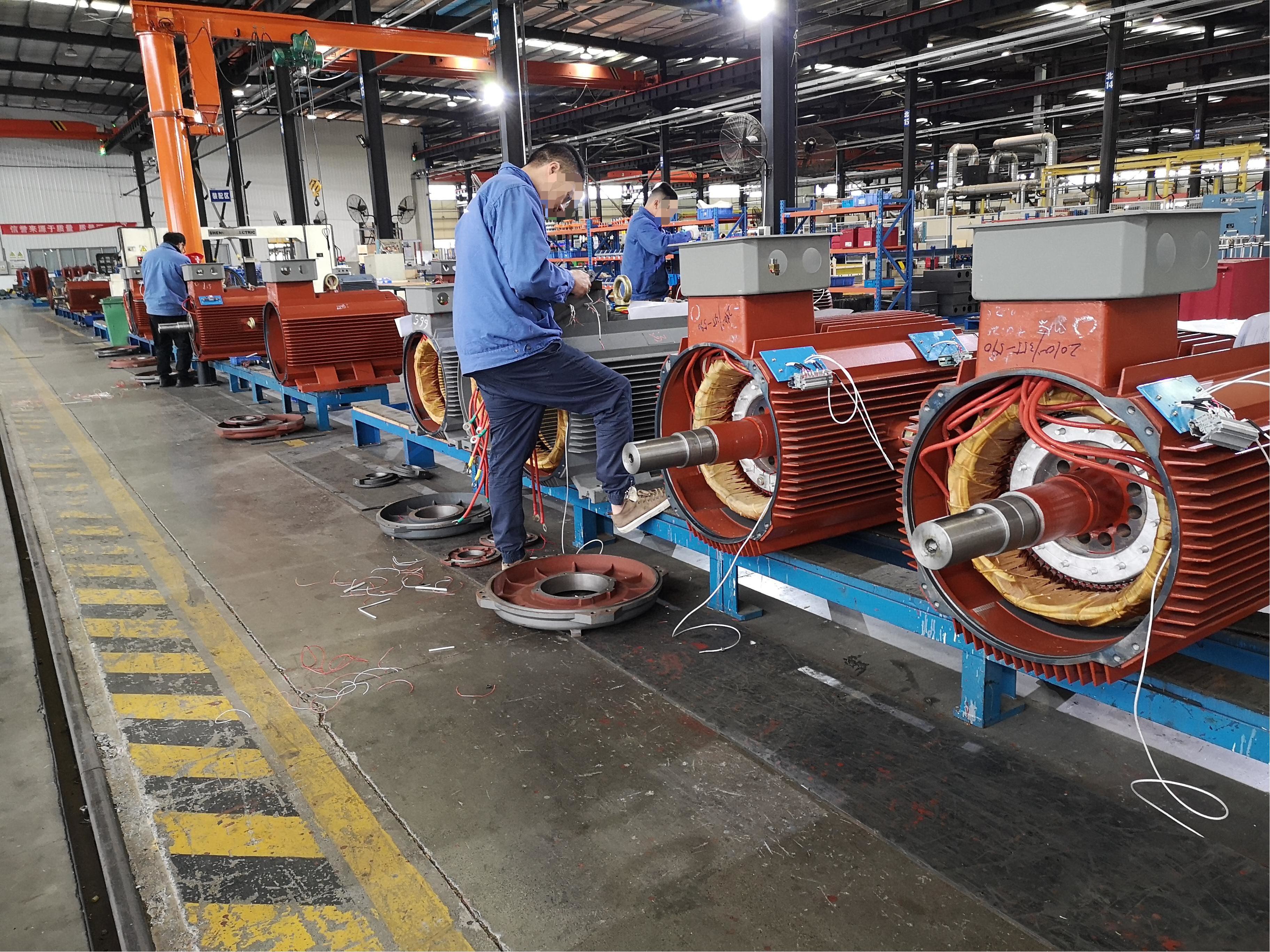 ODM Three Phase Electrical Motor 0.75KW - 355KW Cast Iron AC Motor